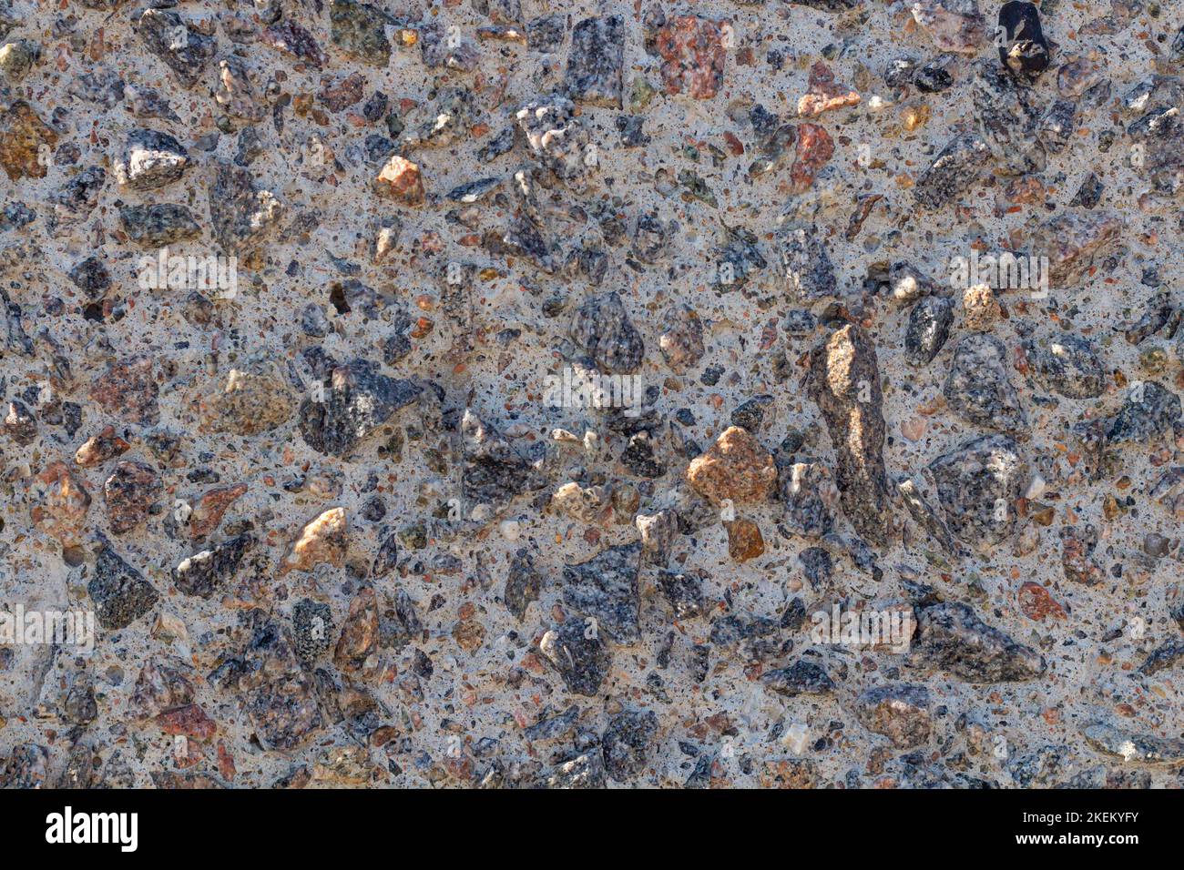 stone wall texture. particles of shells stick out of the stone, the ...