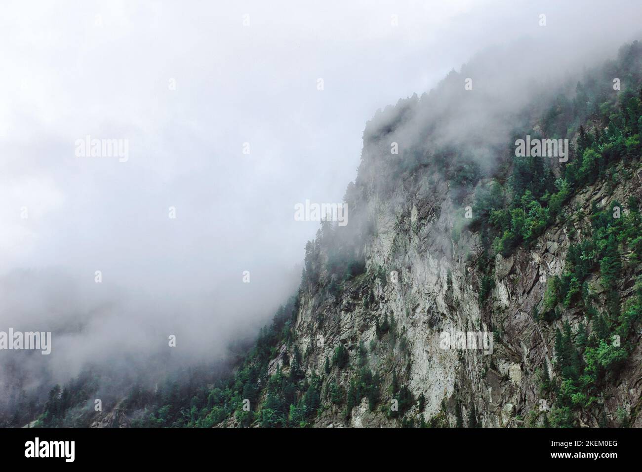 Steep mountain with evergreen trees hi-res stock photography and images ...