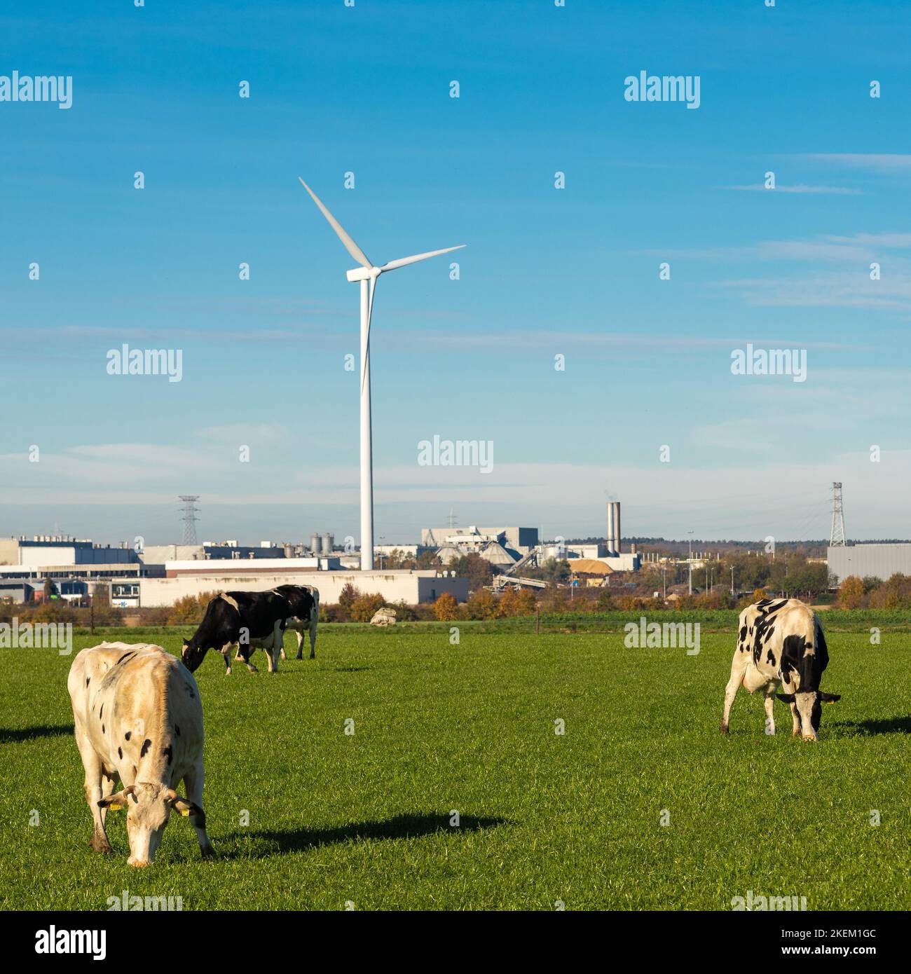 Old versus new, with a focus on the current nitrogen discussion in the ...