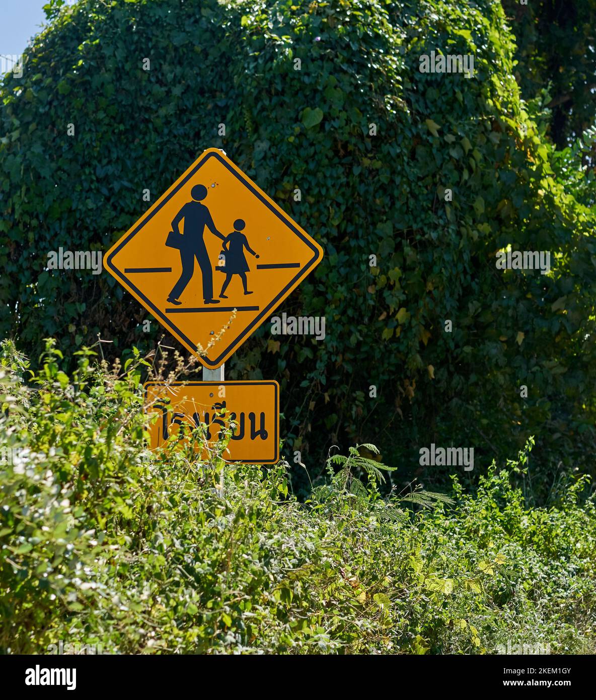 An overgrown roadside signpost showing children's crossing Stock Photo ...