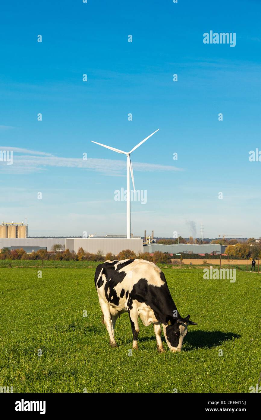 Old versus new, with a focus on the current nitrogen discussion in the ...