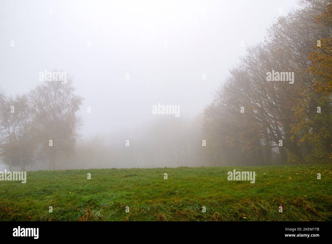 Dundee, Tayside, Scotland, UK. 13th Nov, 2022. UK Weather: Northeast ...