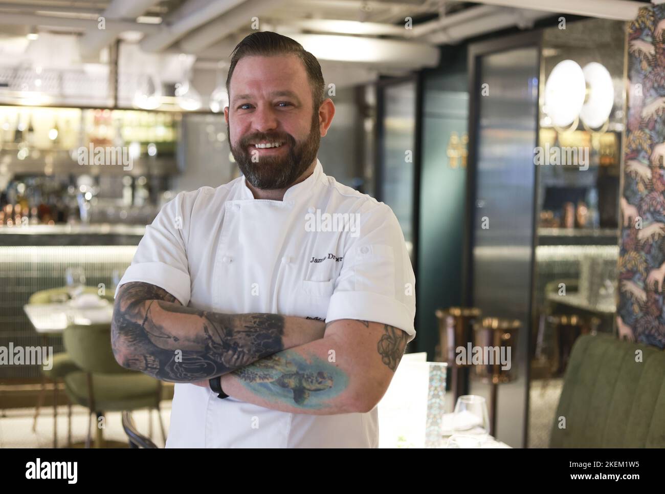 Mr wolfs hi-res stock photography and images - Alamy