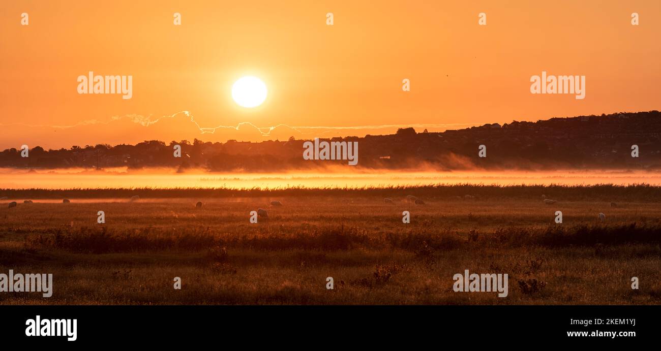 Graveney marsh hi-res stock photography and images - Alamy