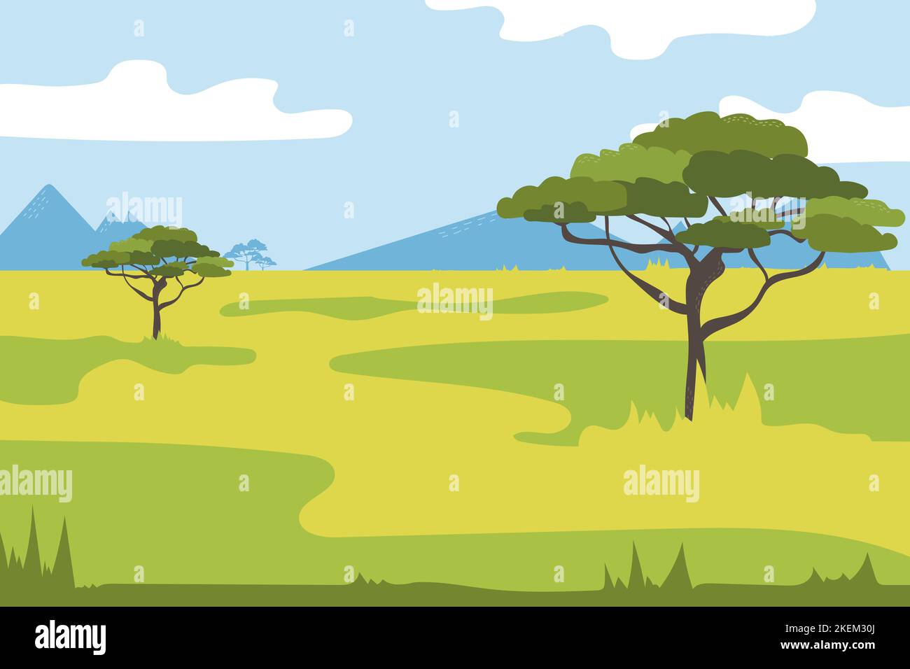 African savannah. Grass, acacia trees. Vector landscape. The nature of Africa. Reserves and ...