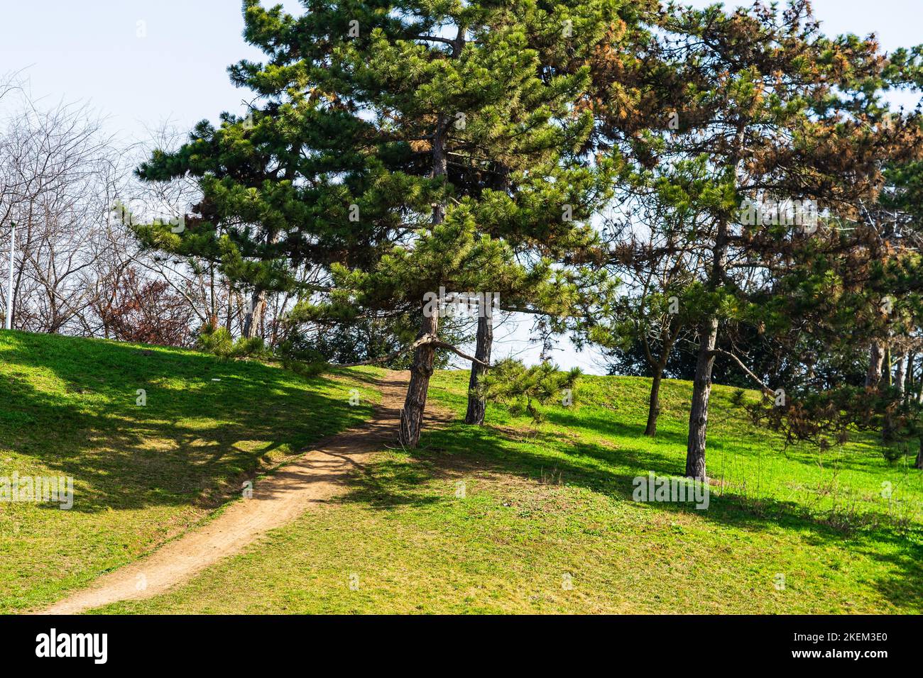 Autumn scenery with alley of fall leaves Stock Photo - Alamy