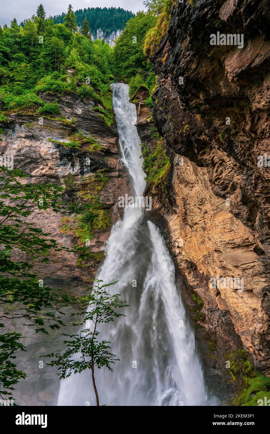 The Reichenbach Falls in the Swiss mountains Stock Photo - Alamy