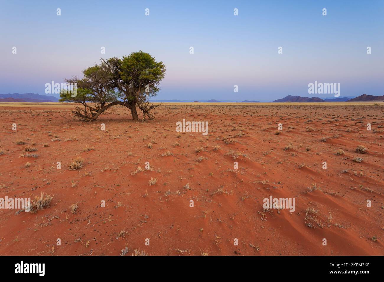 Dunes in the southern part of the Namib Desert in the Namib-Naukluft ...