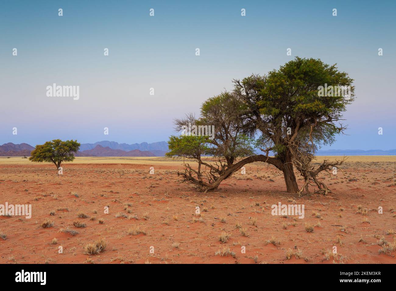 Dunes in the southern part of the Namib Desert in the Namib-Naukluft ...
