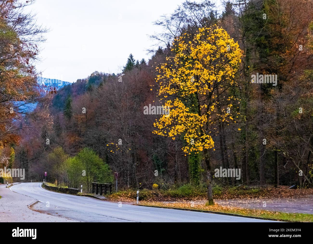 Austrian alps, Green meadows, alpine cottages and mountains Stock Photo ...