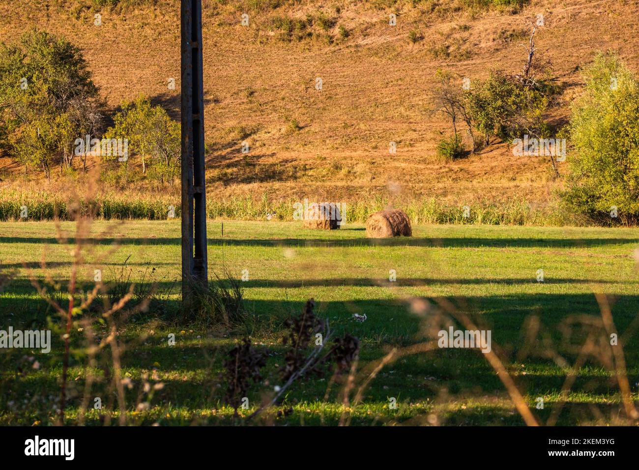 Golden hay bales. Agricultural parcels of different crops and hay roll ...
