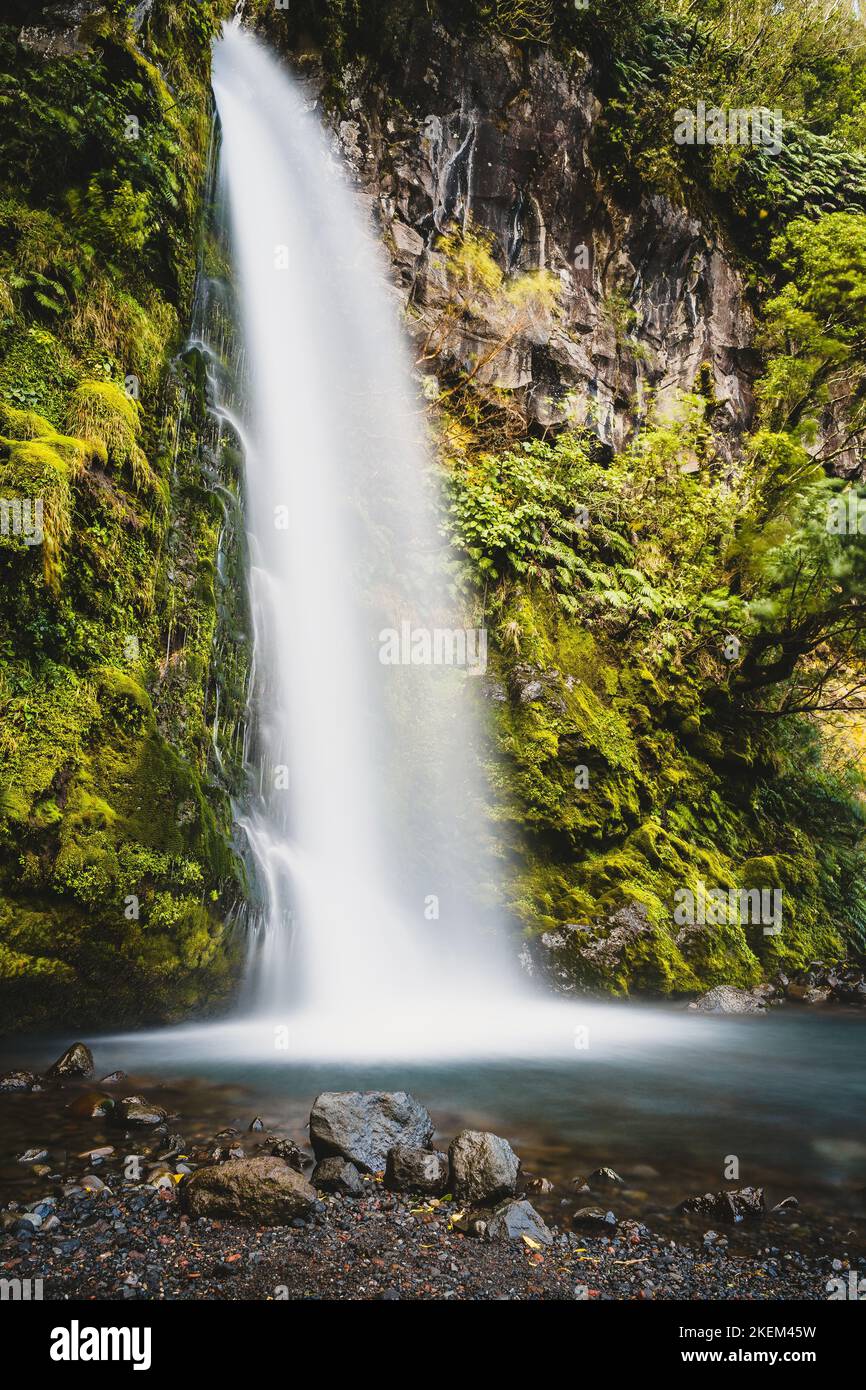 A scenic vertical shot of a waterfall surrounded by greenery in the ...