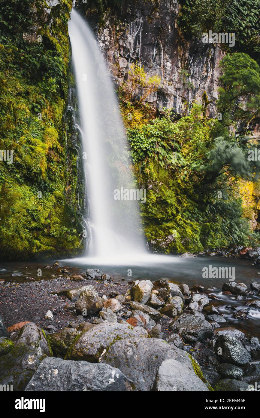 A scenic vertical shot of a waterfall surrounded by greenery in the ...
