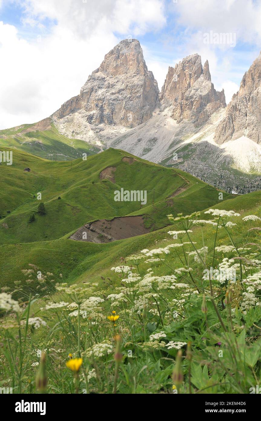 A scenic vertical view of the evergreen Dolomites mountains in Italy ...