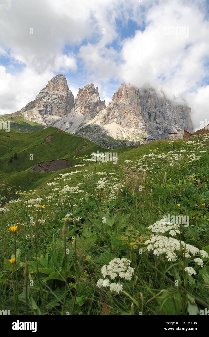 A scenic vertical view of the evergreen Dolomites mountains in Italy ...
