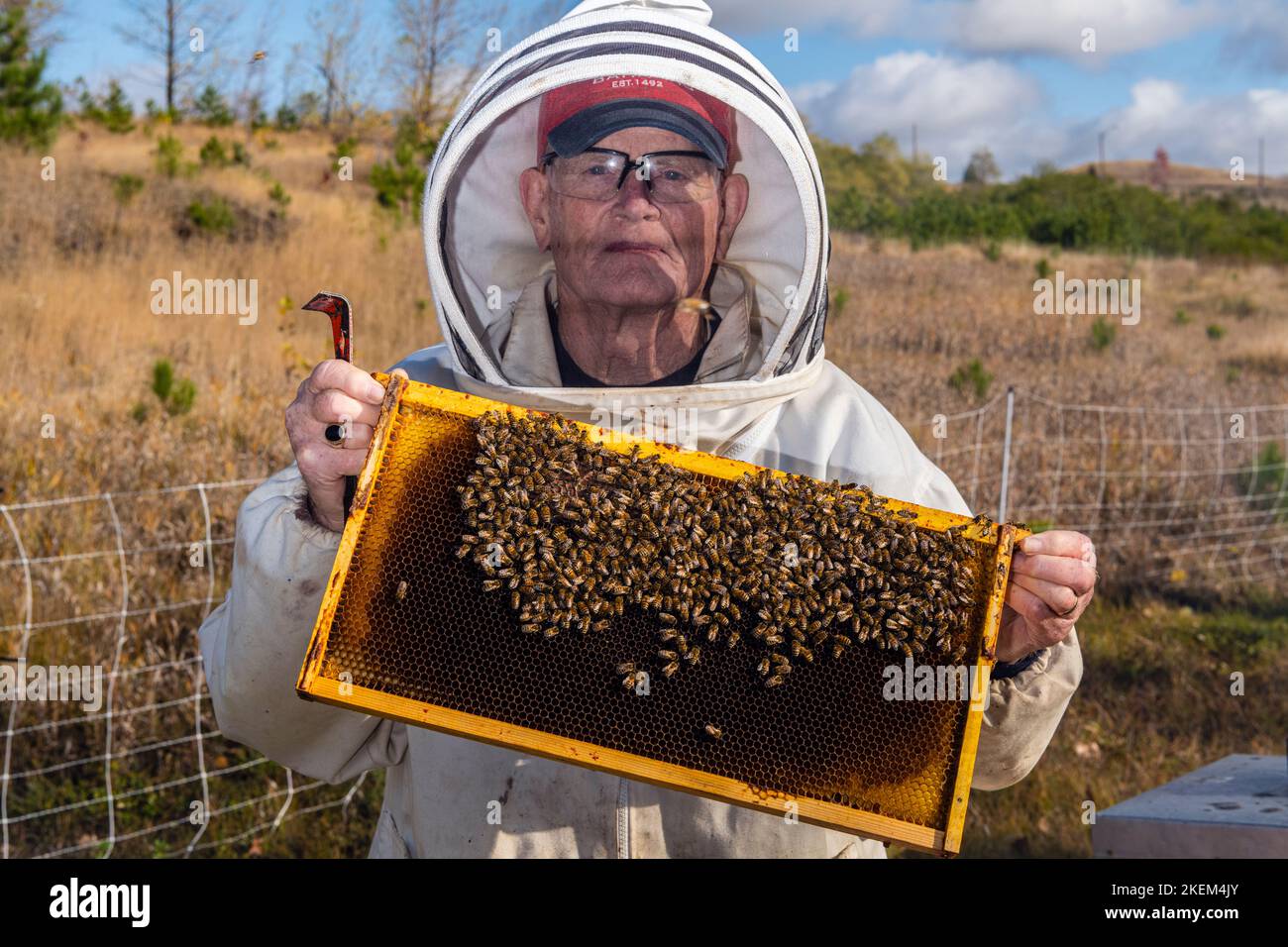 The Vale bee hive project, managed by beekeeper Bob Dewar, Greater ...