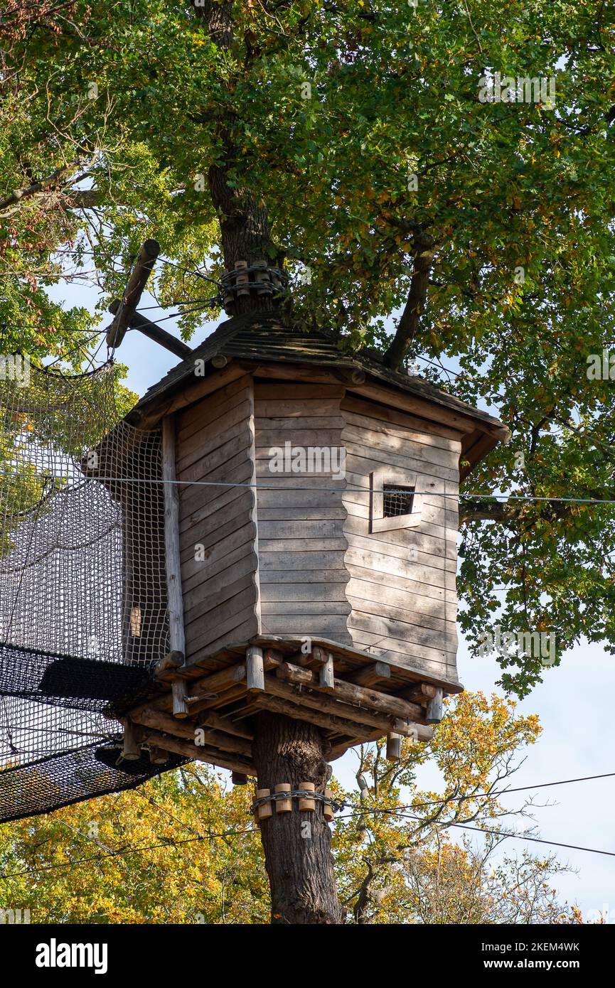 Wexham, Buckinghamshire, UK. 13th November, 2022. The Go Ape tree ...