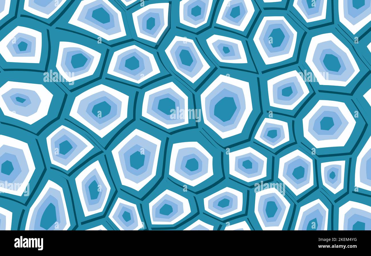 Turtle Shell Texture Drawing