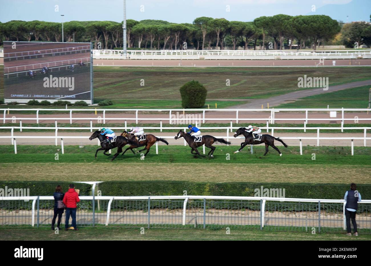 horse race near finish line at Capannelle hyppodrome Stock Photo - Alamy