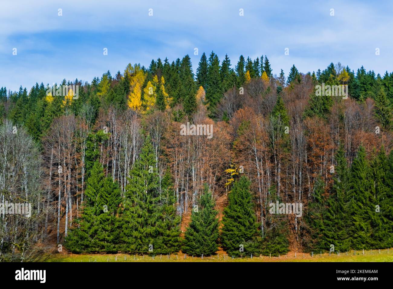 Austrian alps, Green meadows, alpine cottages and mountains Stock Photo ...