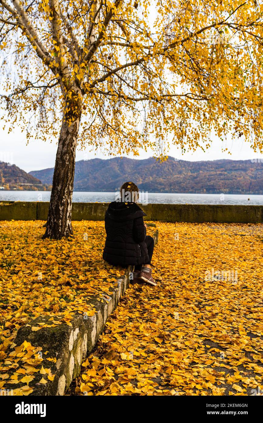Autumn leaves fallen on alone woman walking on the autumn alley Stock ...