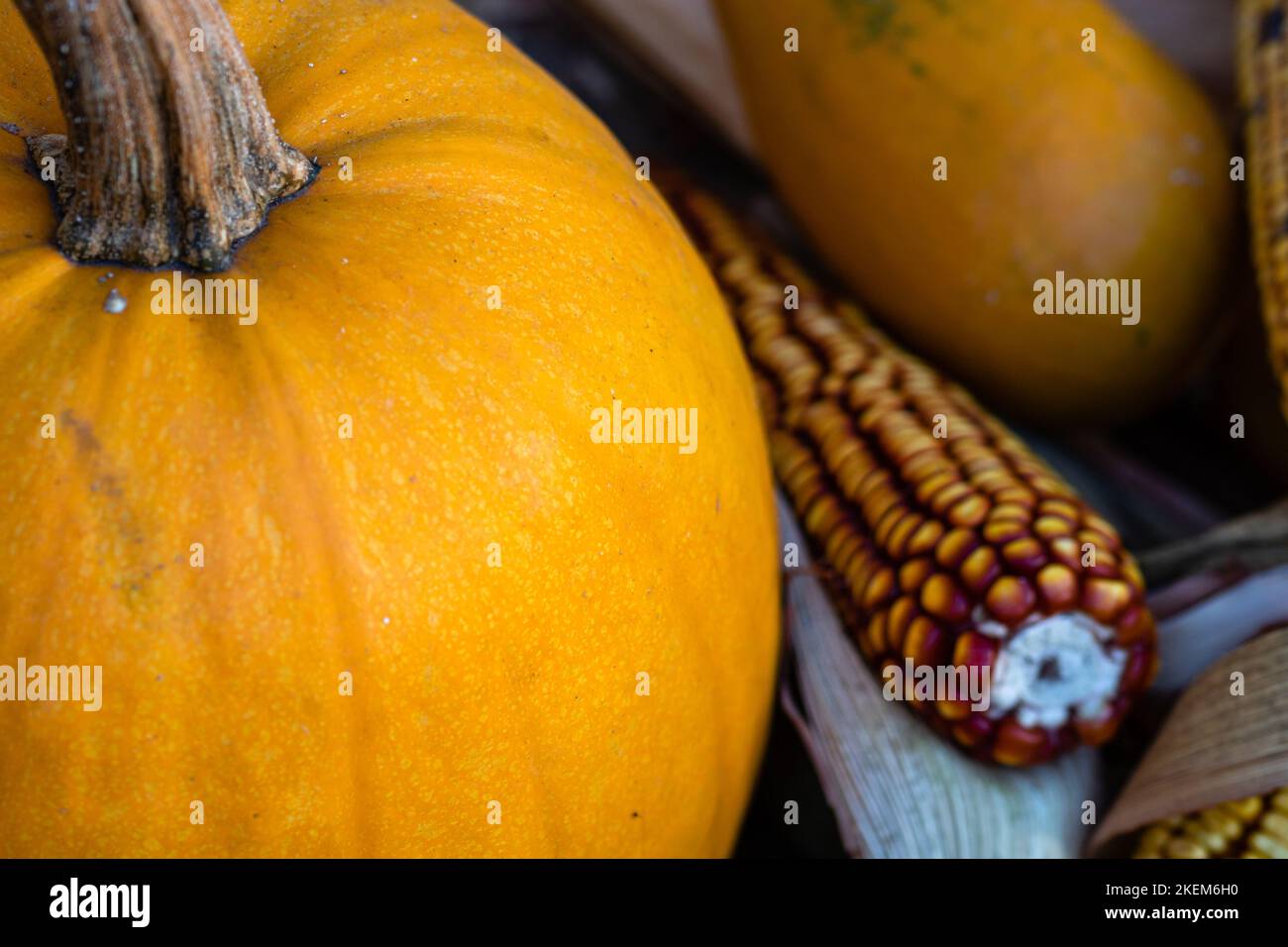 Toned autumn background of pumpkins and corn Stock Photo - Alamy