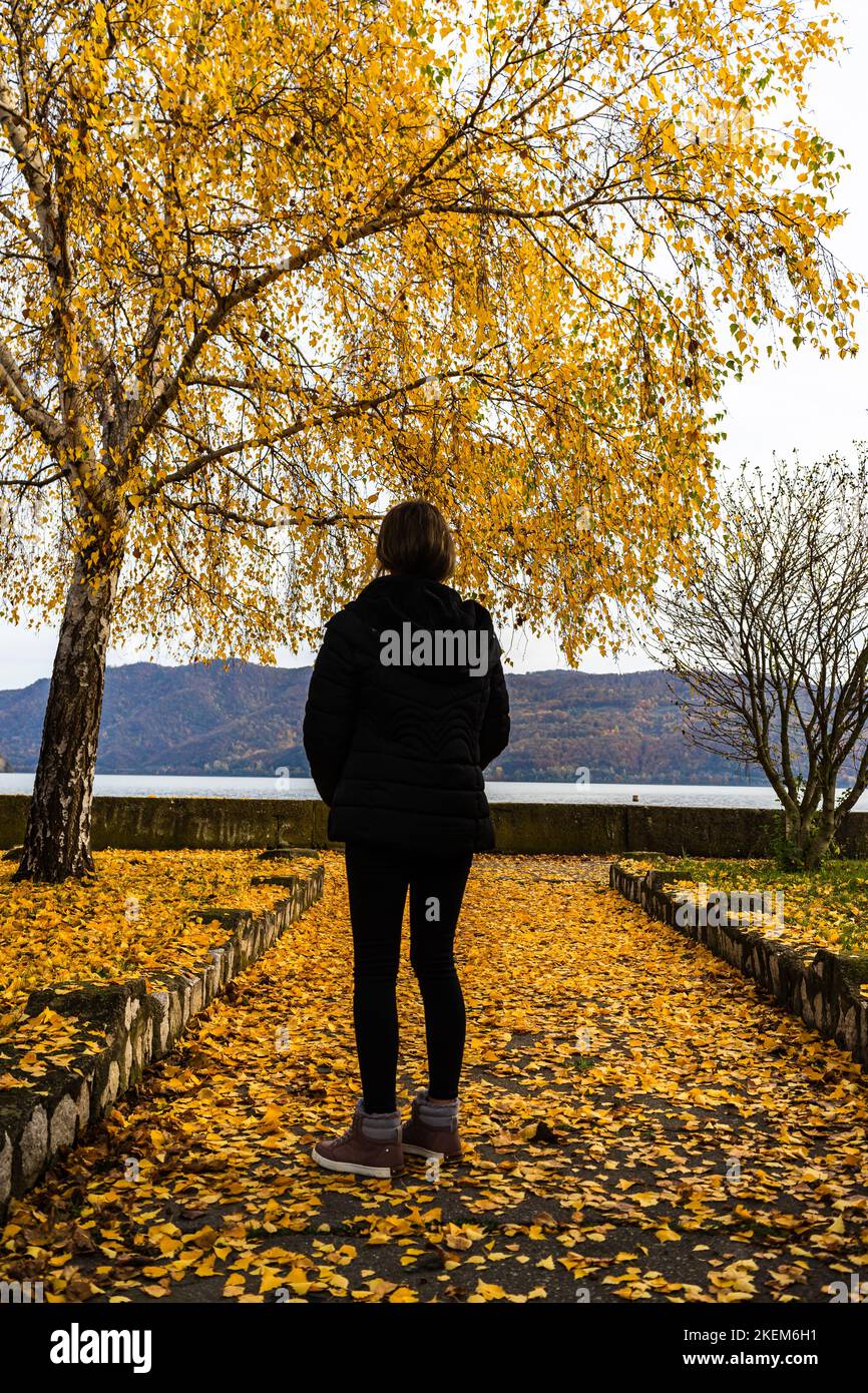 Autumn leaves fallen on alone woman walking on the autumn alley Stock ...