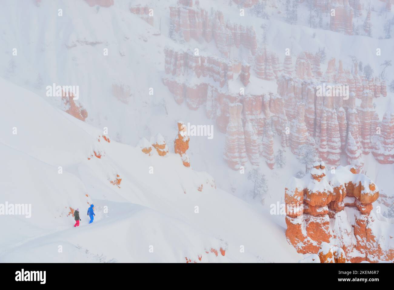 Fresh winter snow on the hoodoos from Sunset Point, Bryce Canyon ...