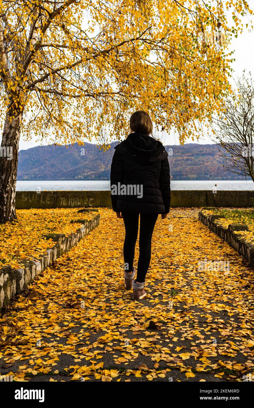 Autumn leaves fallen on alone woman walking on the autumn alley Stock ...