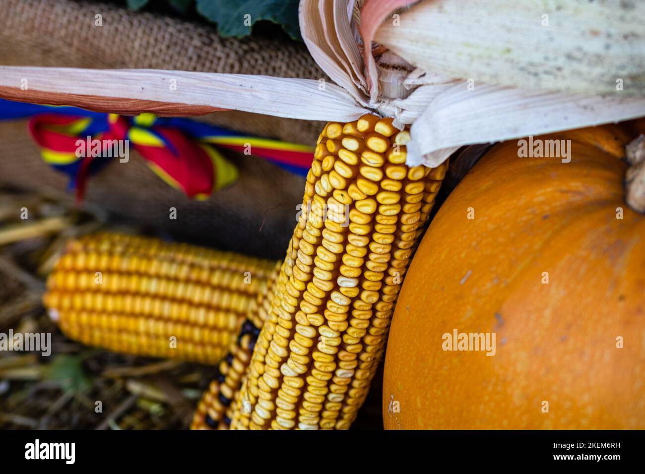 Toned autumn background of pumpkins and corn Stock Photo - Alamy