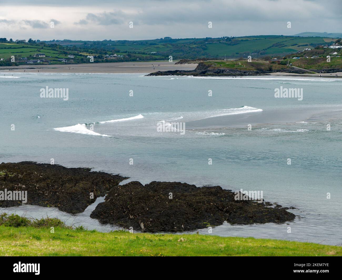 View of Clonakilty Bay on a cloudy day. Thick grass near the sea. The ...