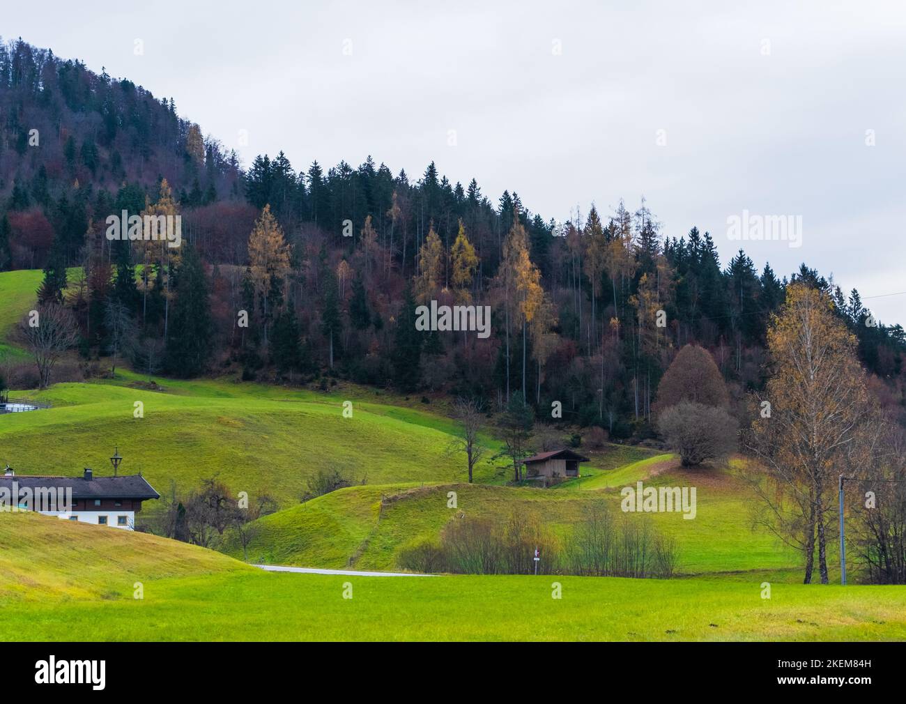Austrian alps, Green meadows, alpine cottages and mountains Stock Photo ...