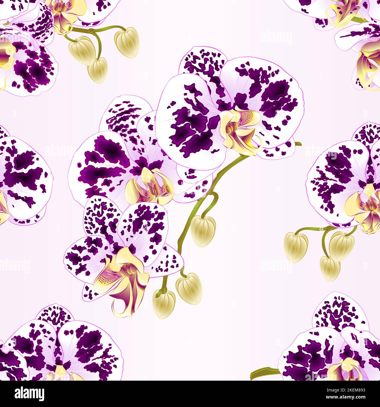 Seamless Texture Branches Orchids Spotted Flowers Tropical Plant