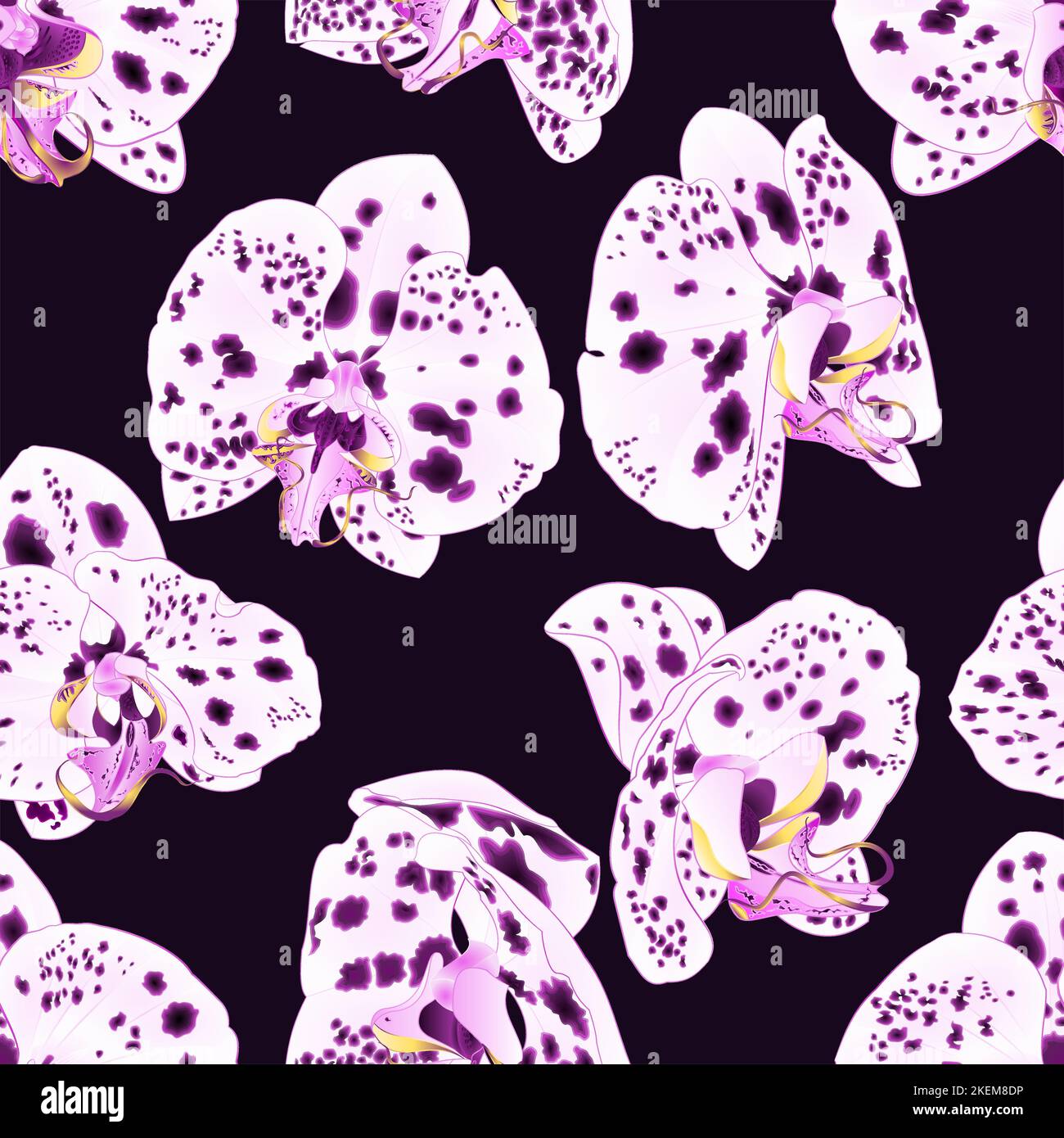 Seamless texture Orchids Phalaenopsis with dots purple and white ...