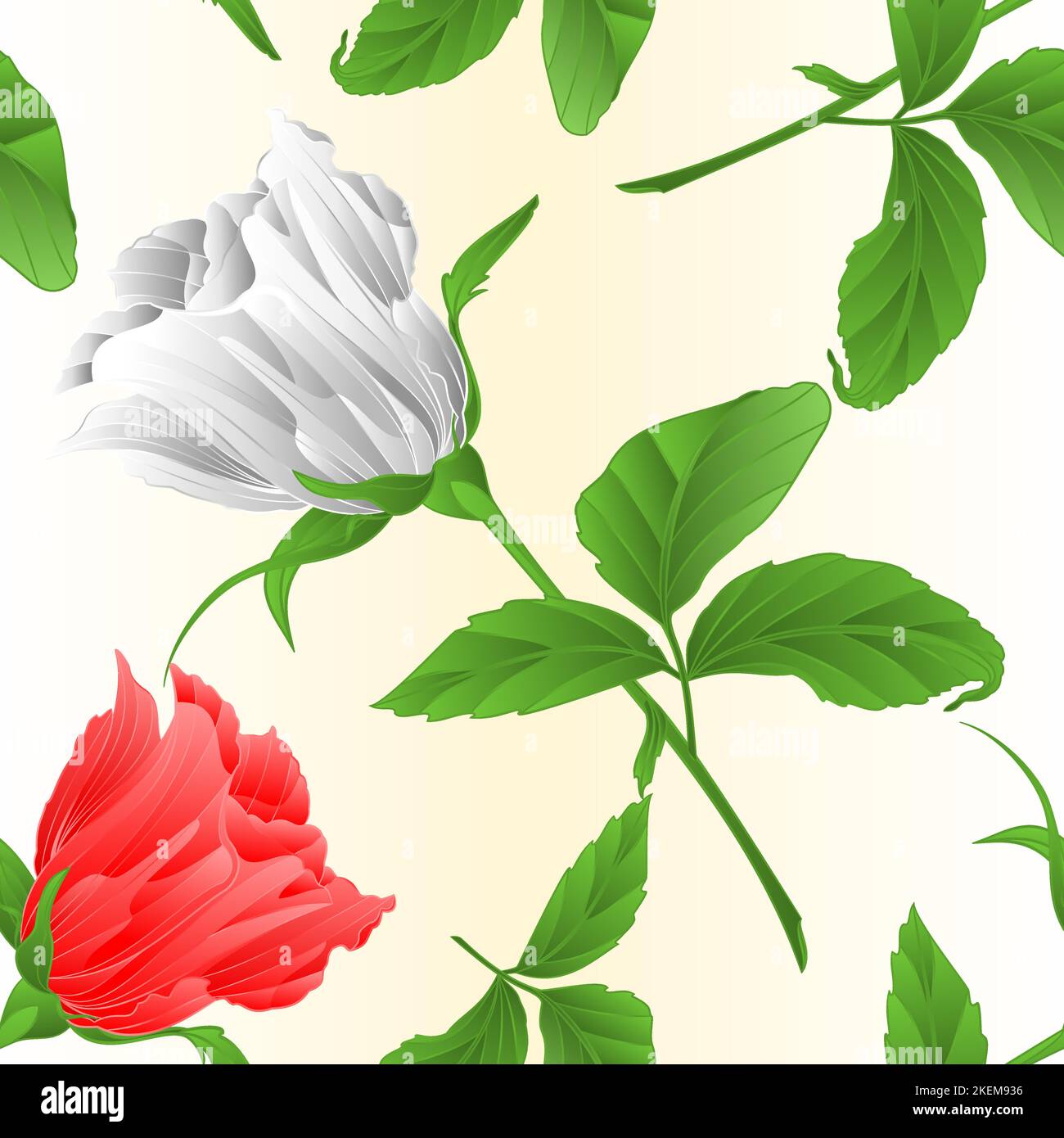 Seamless texture rosebud white and pink rose twig with leaves on a ...