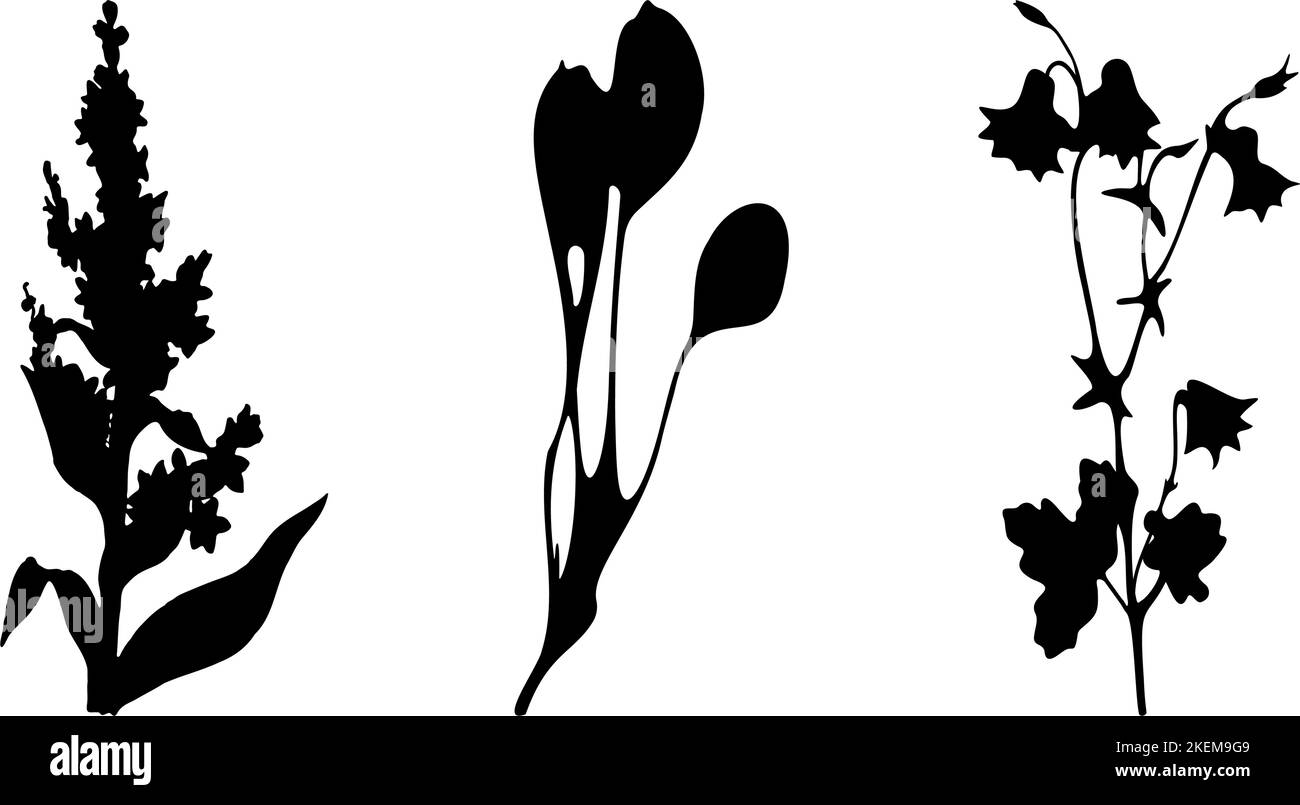 Set of leaves silhouette of beautiful plants, leaves, plant design ...