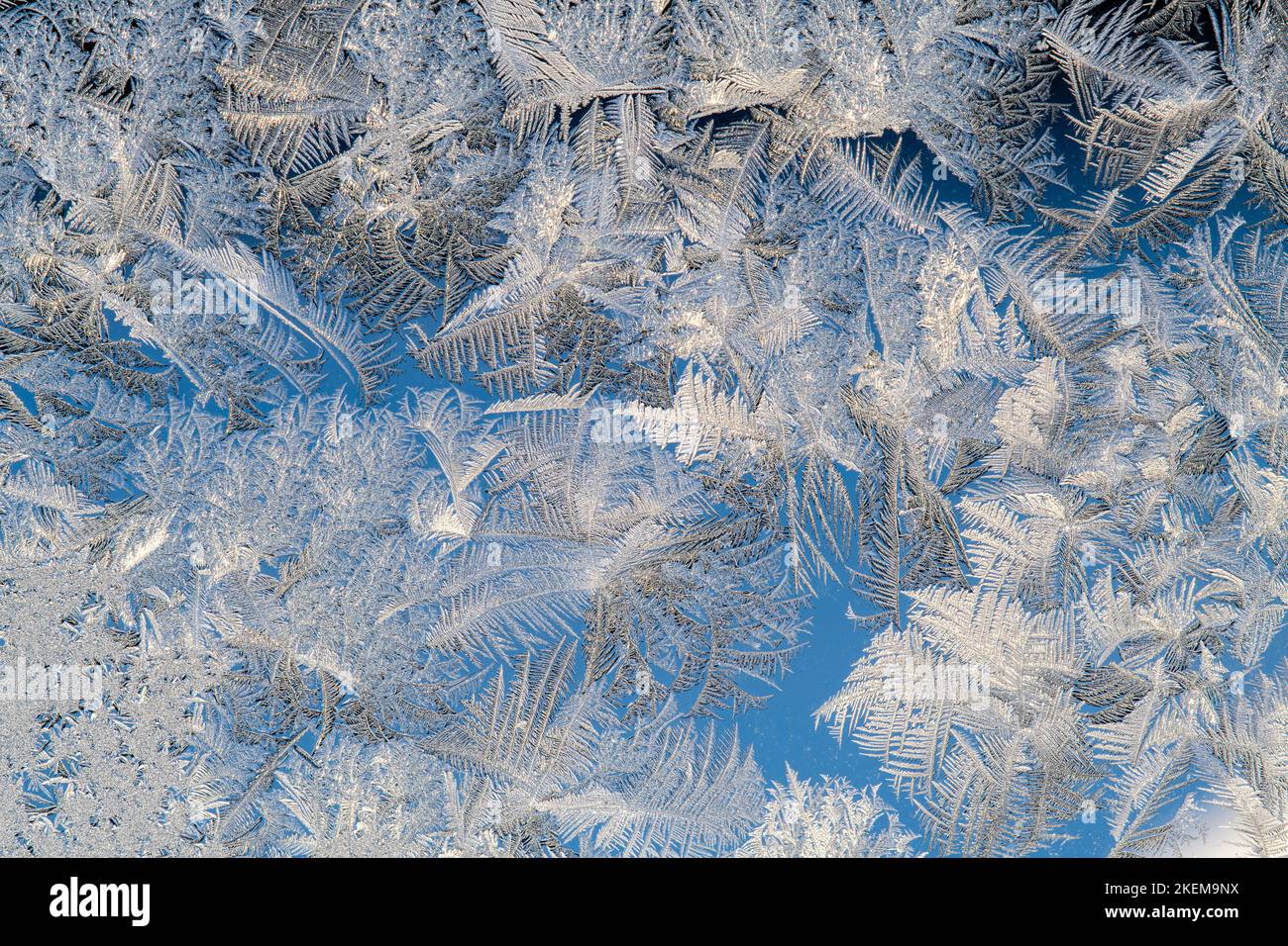 Window frost on a cold winter morning, Greater Sudbury, Ontario, Canada ...