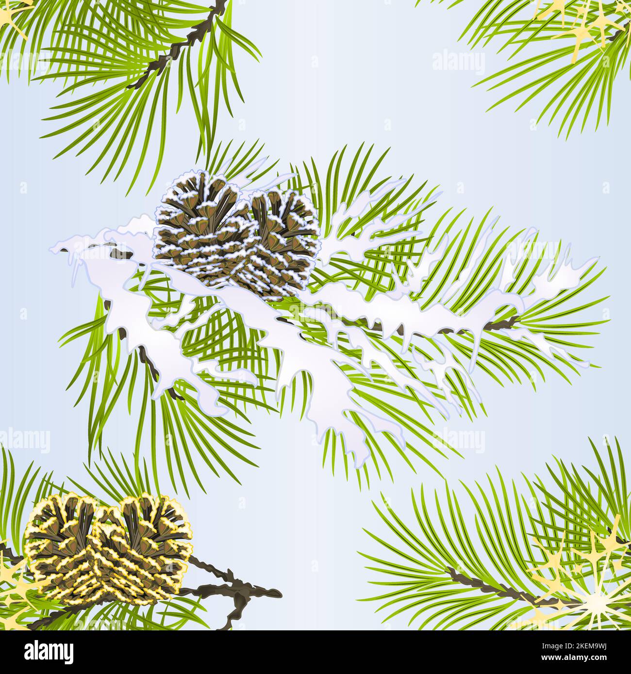 D pine cone vector vectors hi-res stock photography and images - Alamy