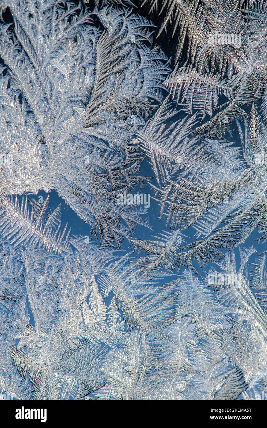 Winter window frost, Greater Sudbury, Ontario, Canada Stock Photo - Alamy