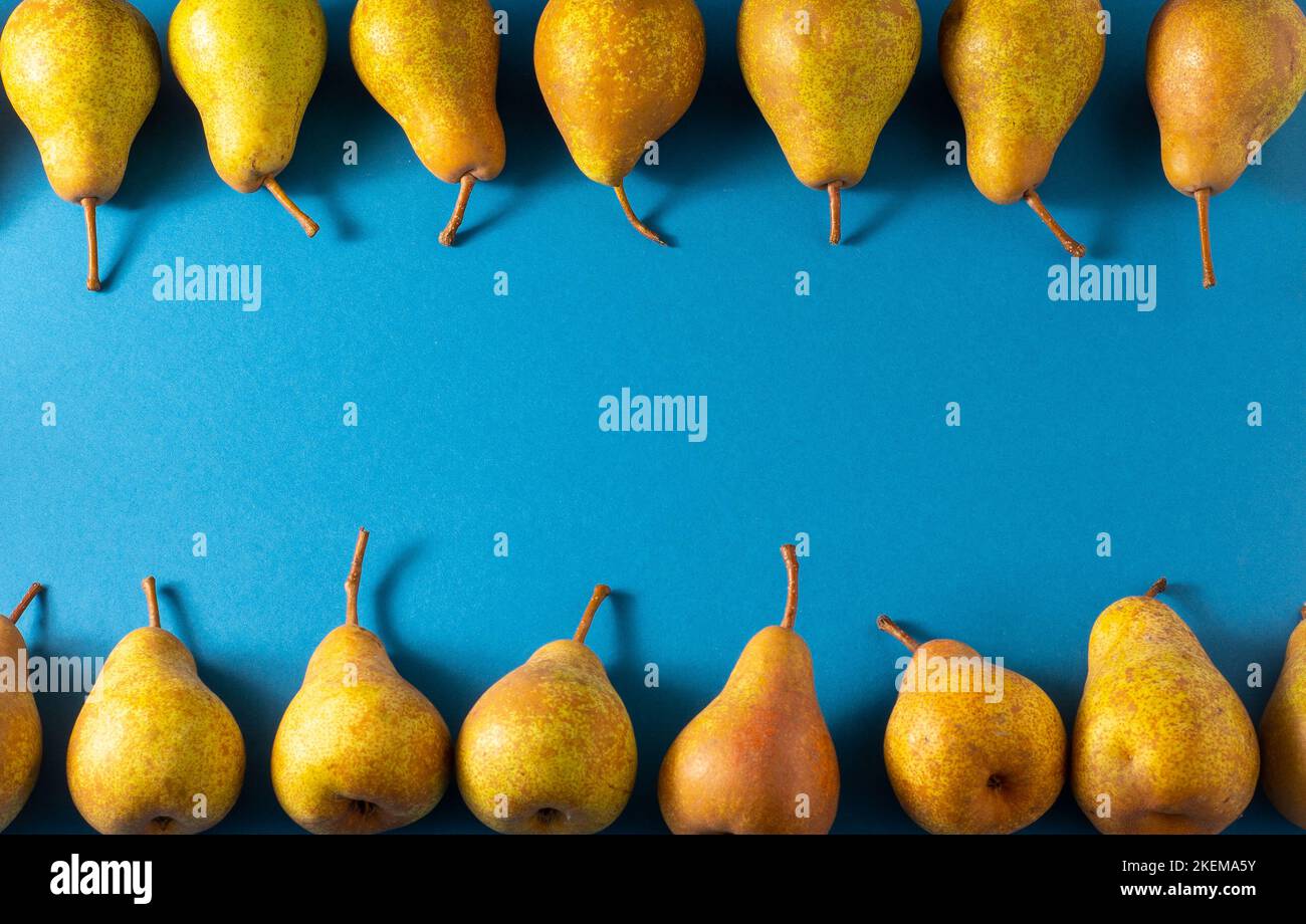 Yellow pears on a blue background. Fruit harvest. Autumn still life ...