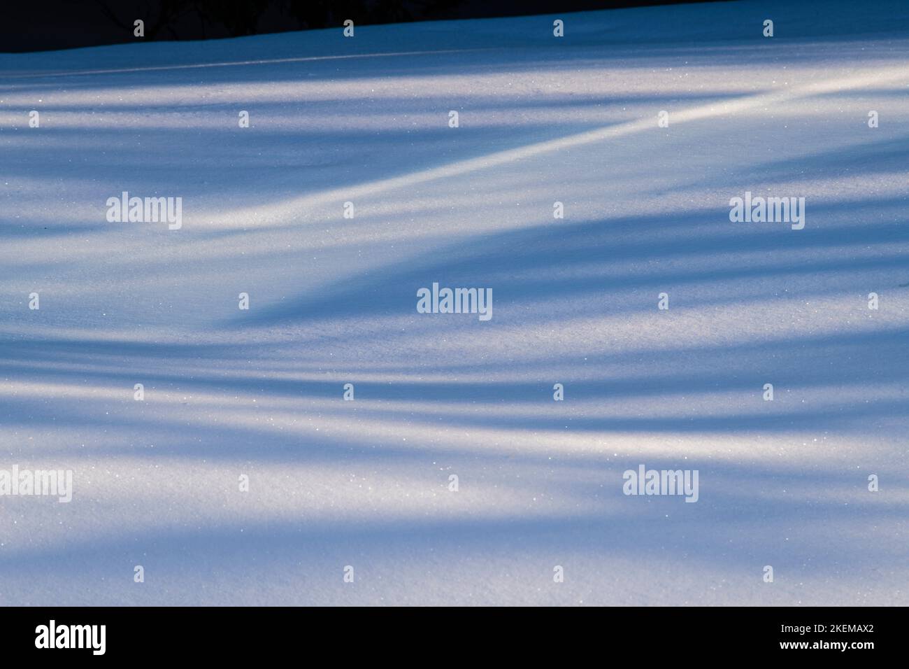 Monochromatic shadows hi-res stock photography and images - Alamy