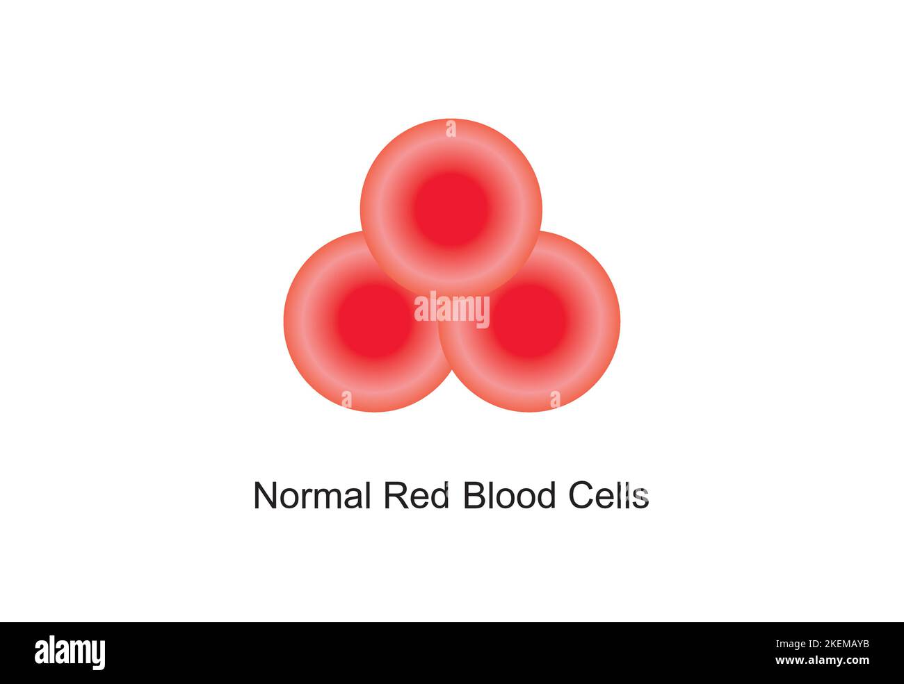 Scientific Designing of Normal Red Blood Cell. Colorful Symbols. Vector ...