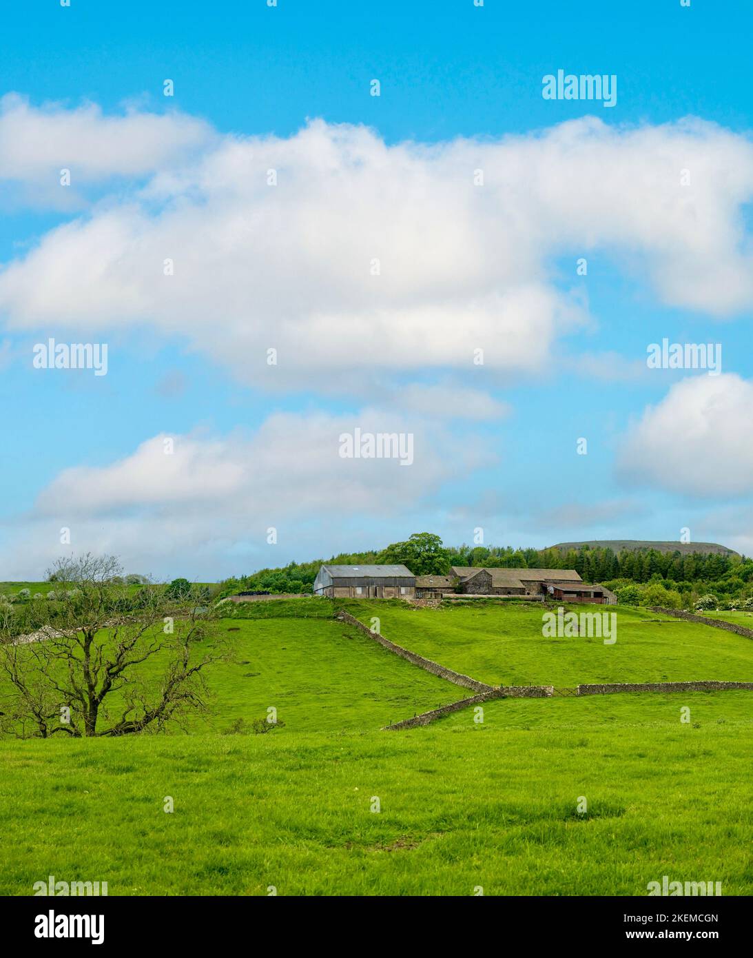Aerial landscape view of a farm on a hillside in the Yorkshire Dales ...