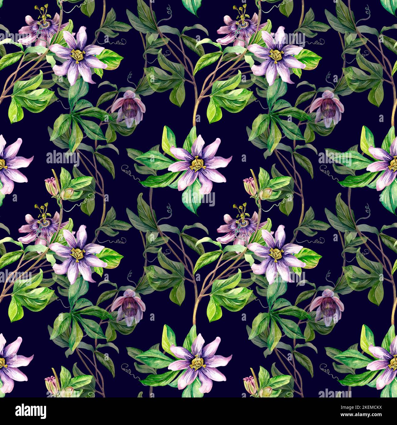 Passion flower plant watercolor seamless pattern isolated on dark. Blue ...