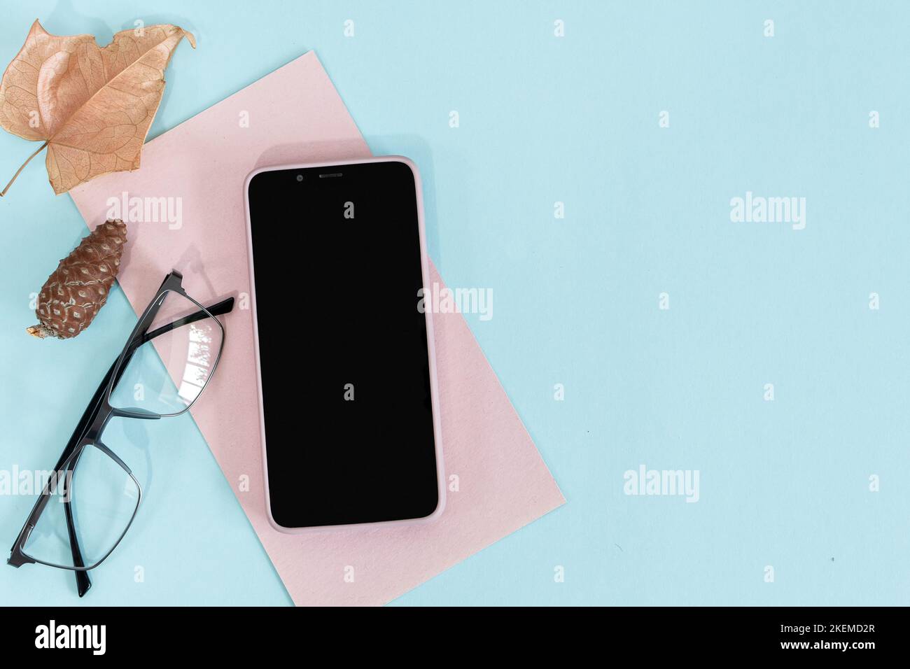 The Autumn composition background with smart phone, paper sheet and dry ...