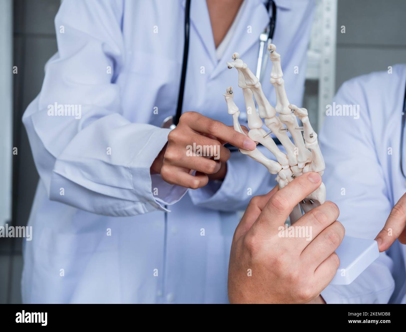 Skeleton model female doctor hi-res stock photography and images - Alamy