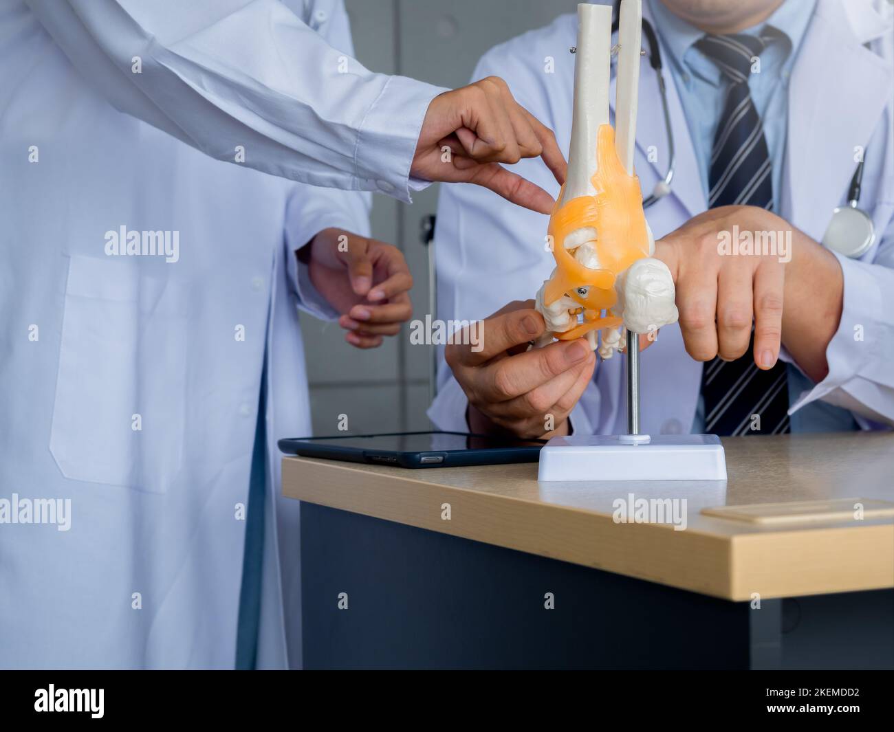 The ligaments around the ankle, bone model on desk while adult male ...