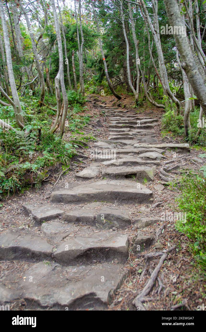 Babia Gora Poland Mountain Walk was a challenging endeavor. 2 hours up, 2 hours more down, hot ...