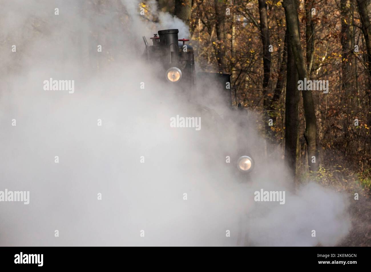 Train track into woods hi-res stock photography and images - Alamy