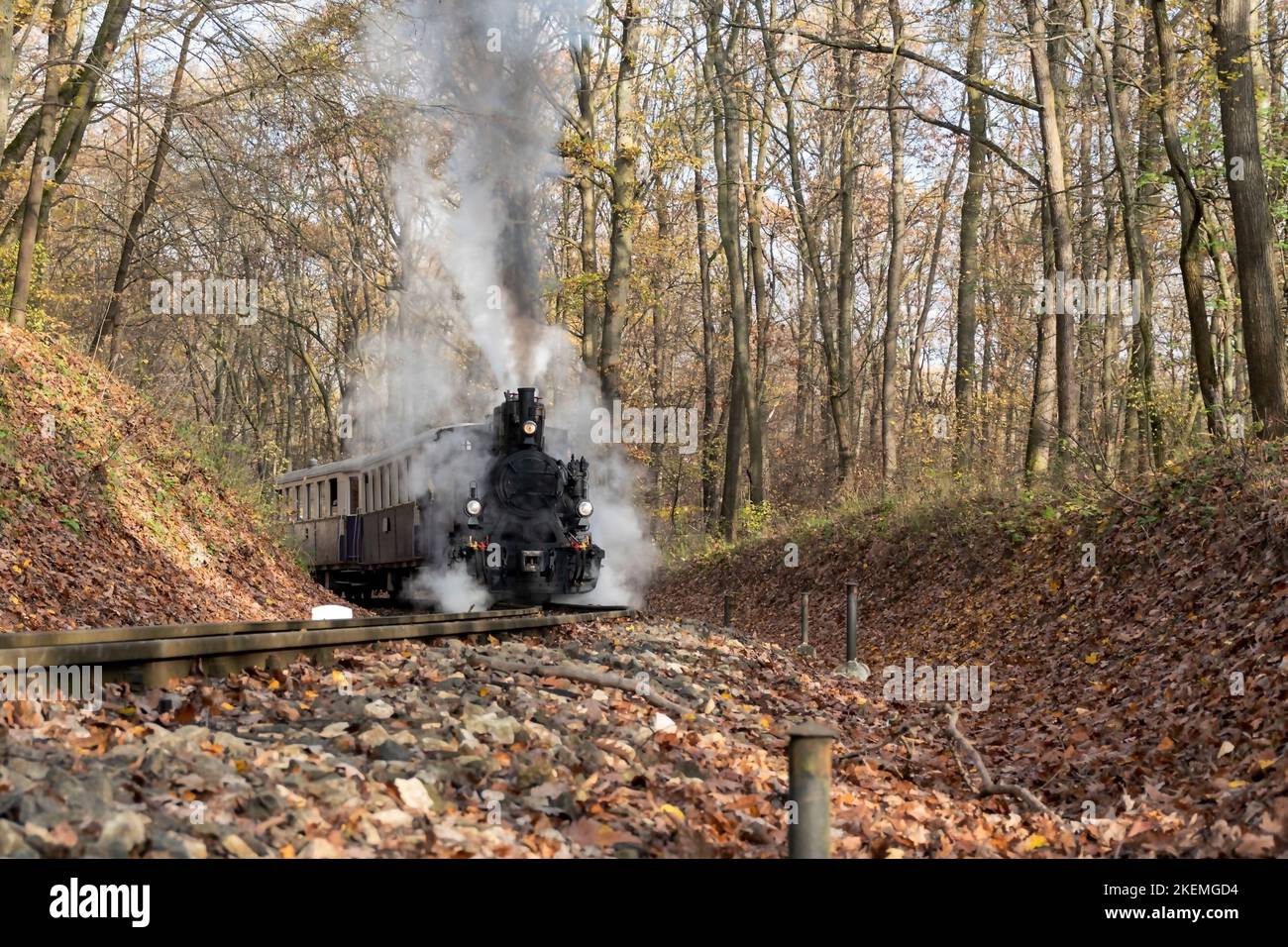 Train track into woods hi-res stock photography and images - Alamy